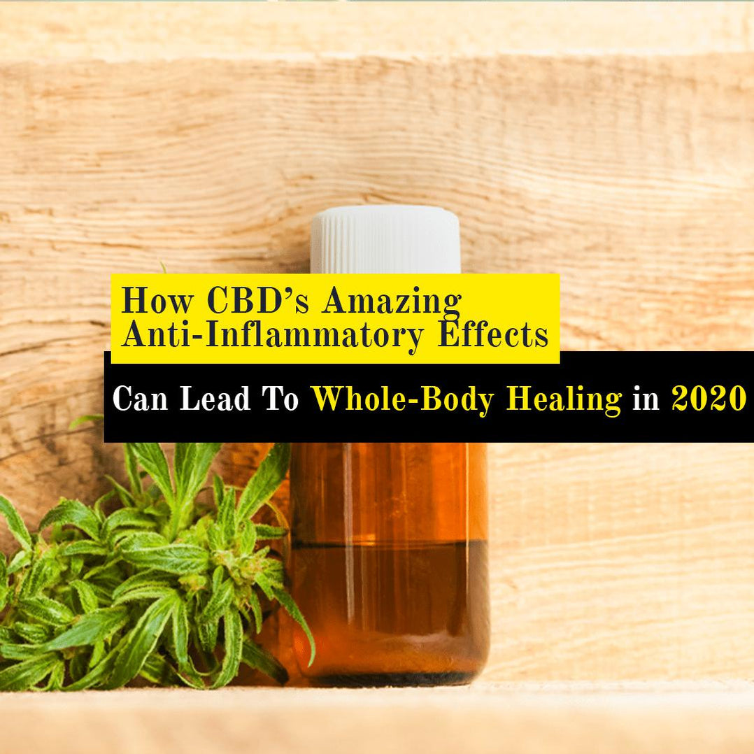 Everything CBD | Purehempshop — Pure Co